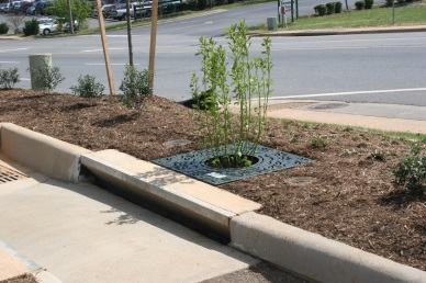 Filterra - Biofiltration from Imbrium